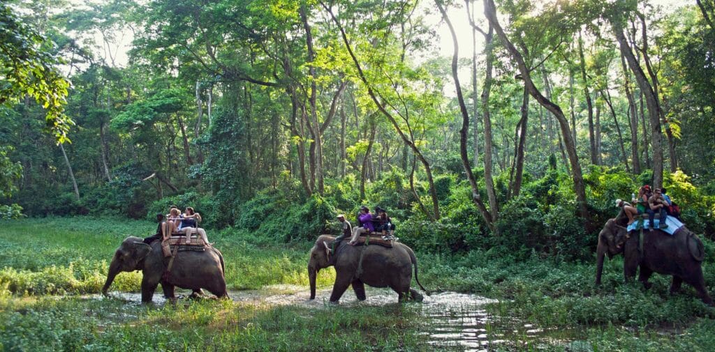 Parc national de Chitwan - Franco Nepal Treks - Agence de voyage locale